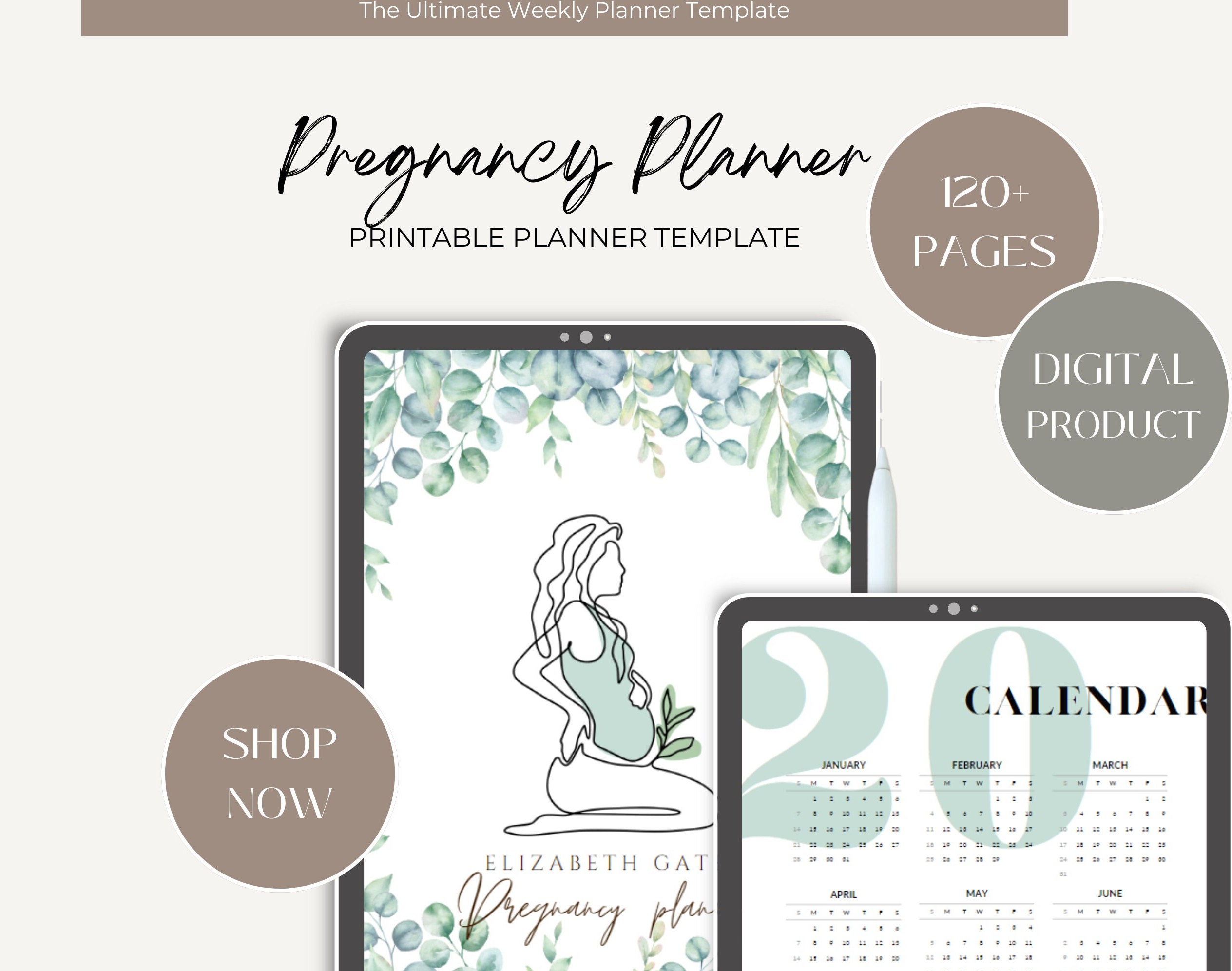 Pregnancy Planner Printable, Printable Pregnancy Journal, Digital ...