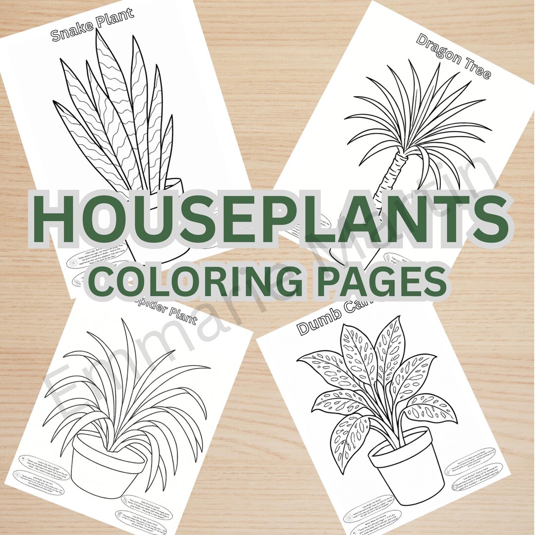 15 Houseplants Coloring Pages, Stress Relief, Printable PDF, Instant ...