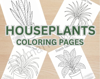 15 Houseplants Coloring Pages, Monstera, Printable PDF, Instant ...