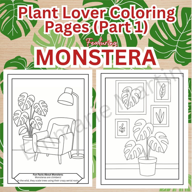 15 Houseplants Coloring Pages, Monstera, Printable PDF, Instant ...