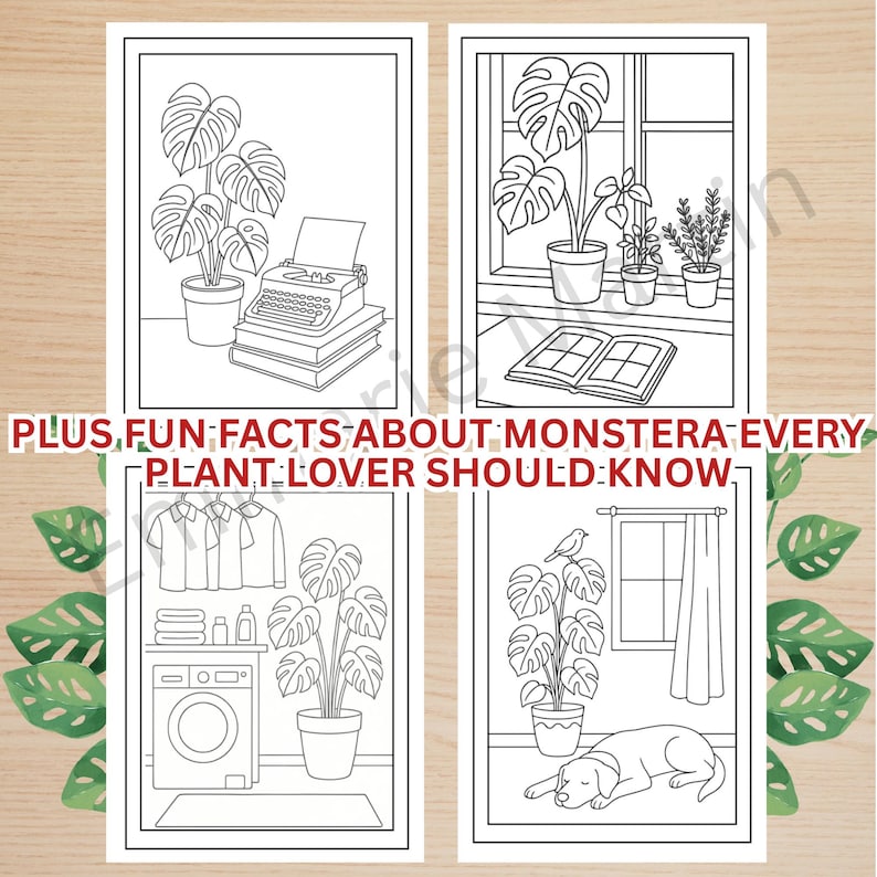 15 Houseplants Coloring Pages, Monstera, Printable PDF, Instant ...