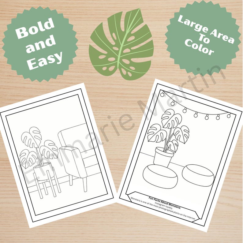 15 Houseplants Coloring Pages, Monstera, Printable PDF, Instant ...