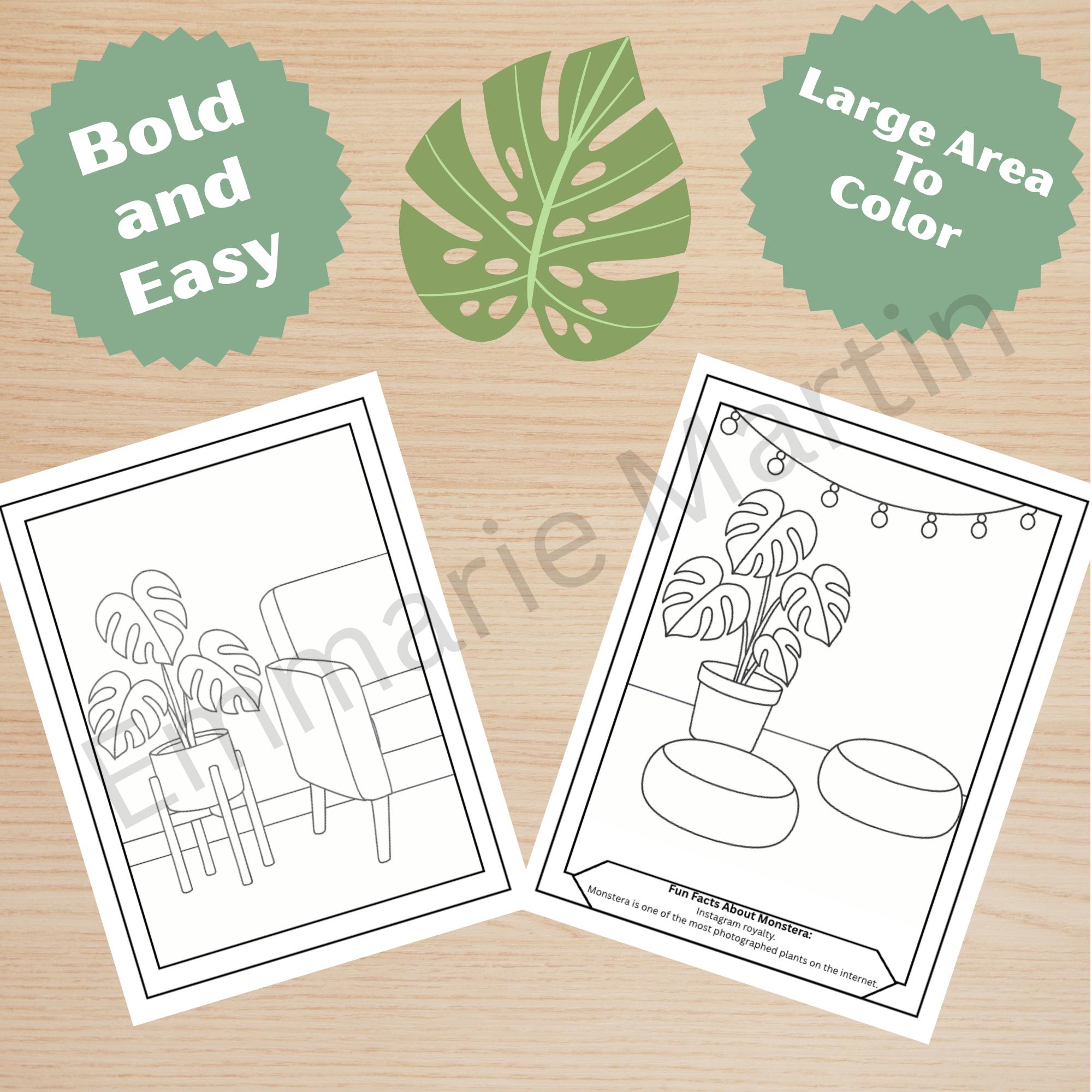 15 Houseplants Coloring Pages, Monstera, Printable PDF, Instant ...