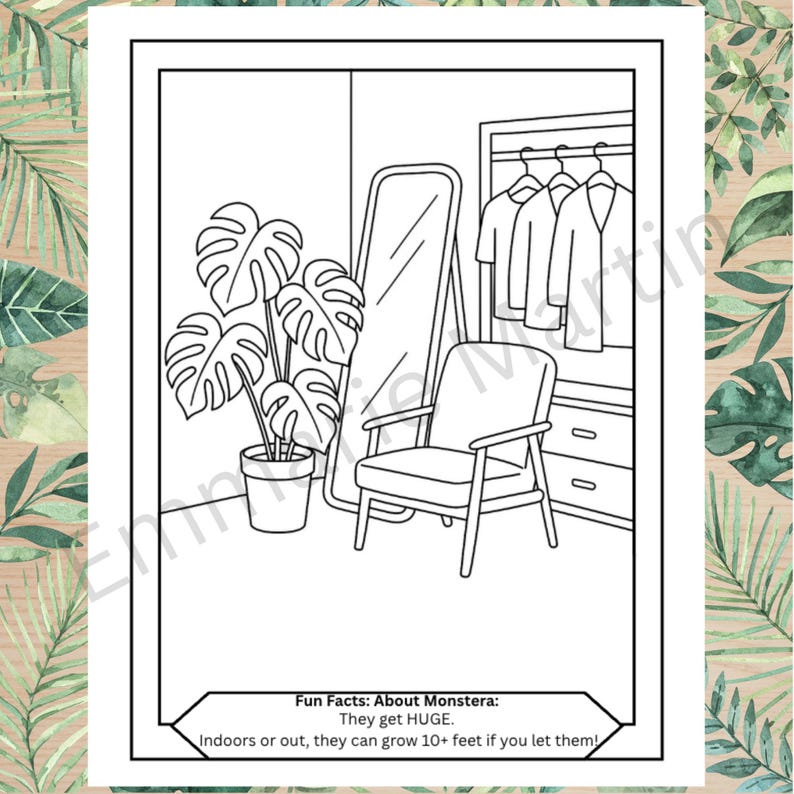 15 Houseplants Coloring Pages, Monstera, Printable PDF, Instant ...