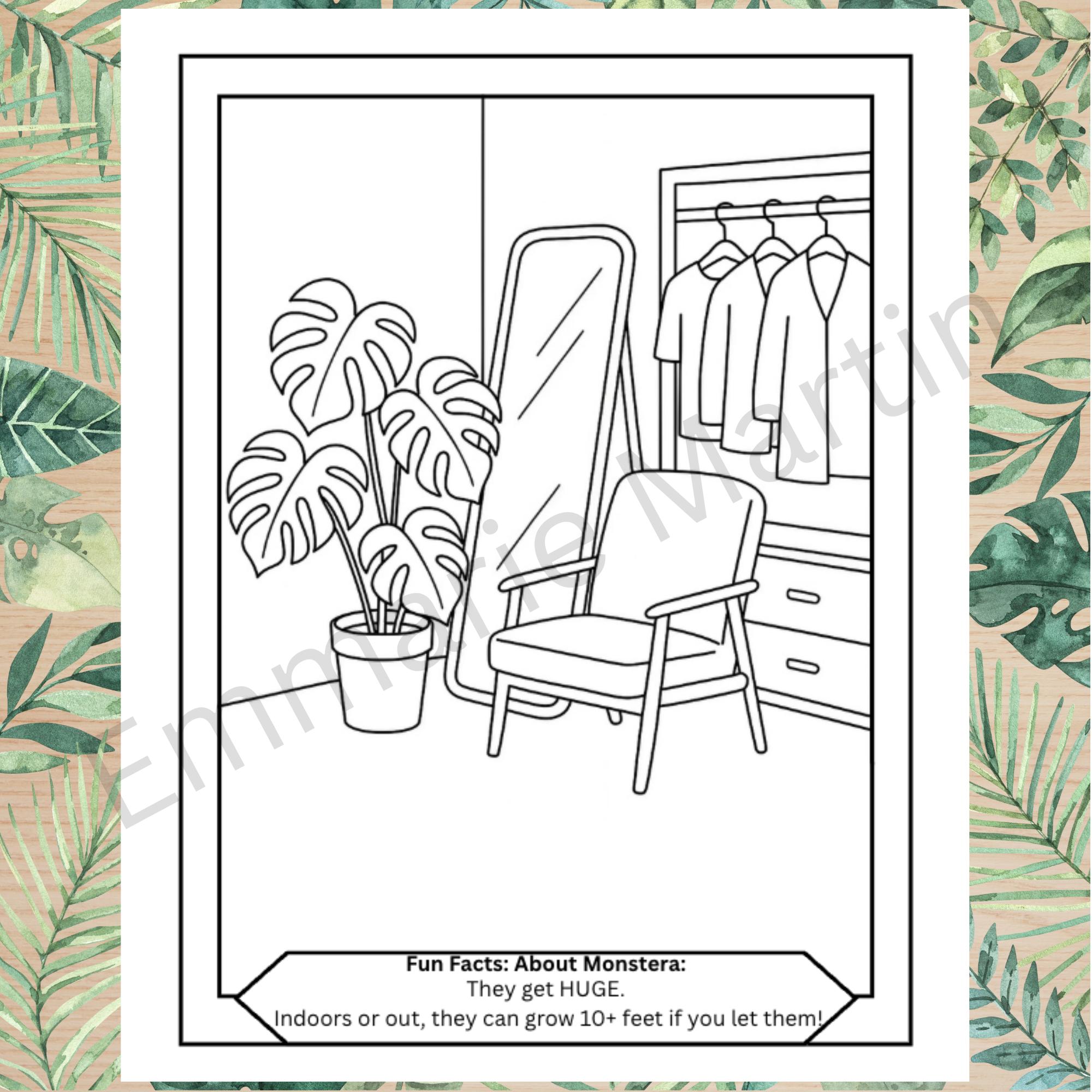 15 Houseplants Coloring Pages, Monstera, Printable PDF, Instant ...