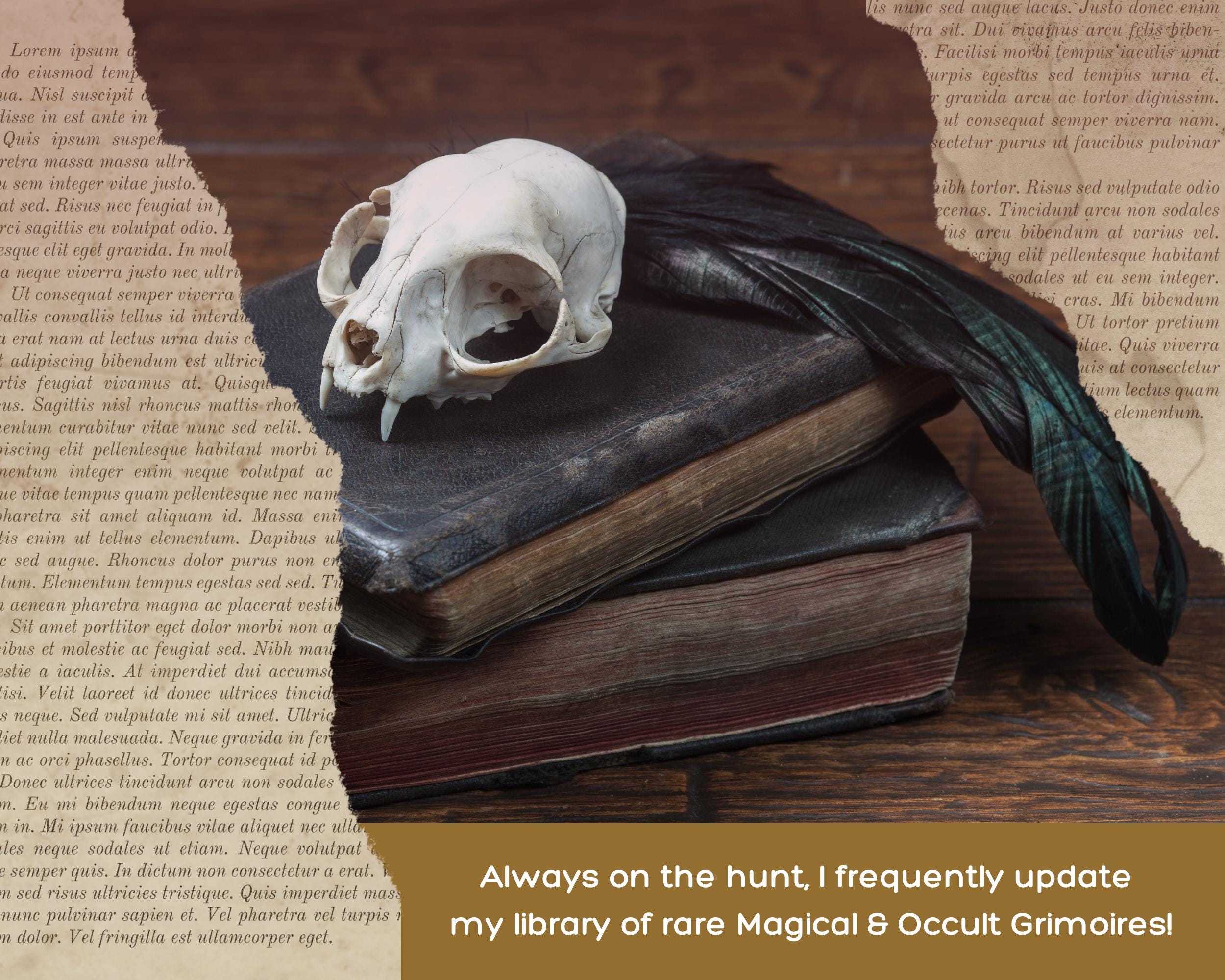 The Werewolf in Lore and Legend by Montague Summers - Occult Vintage ...