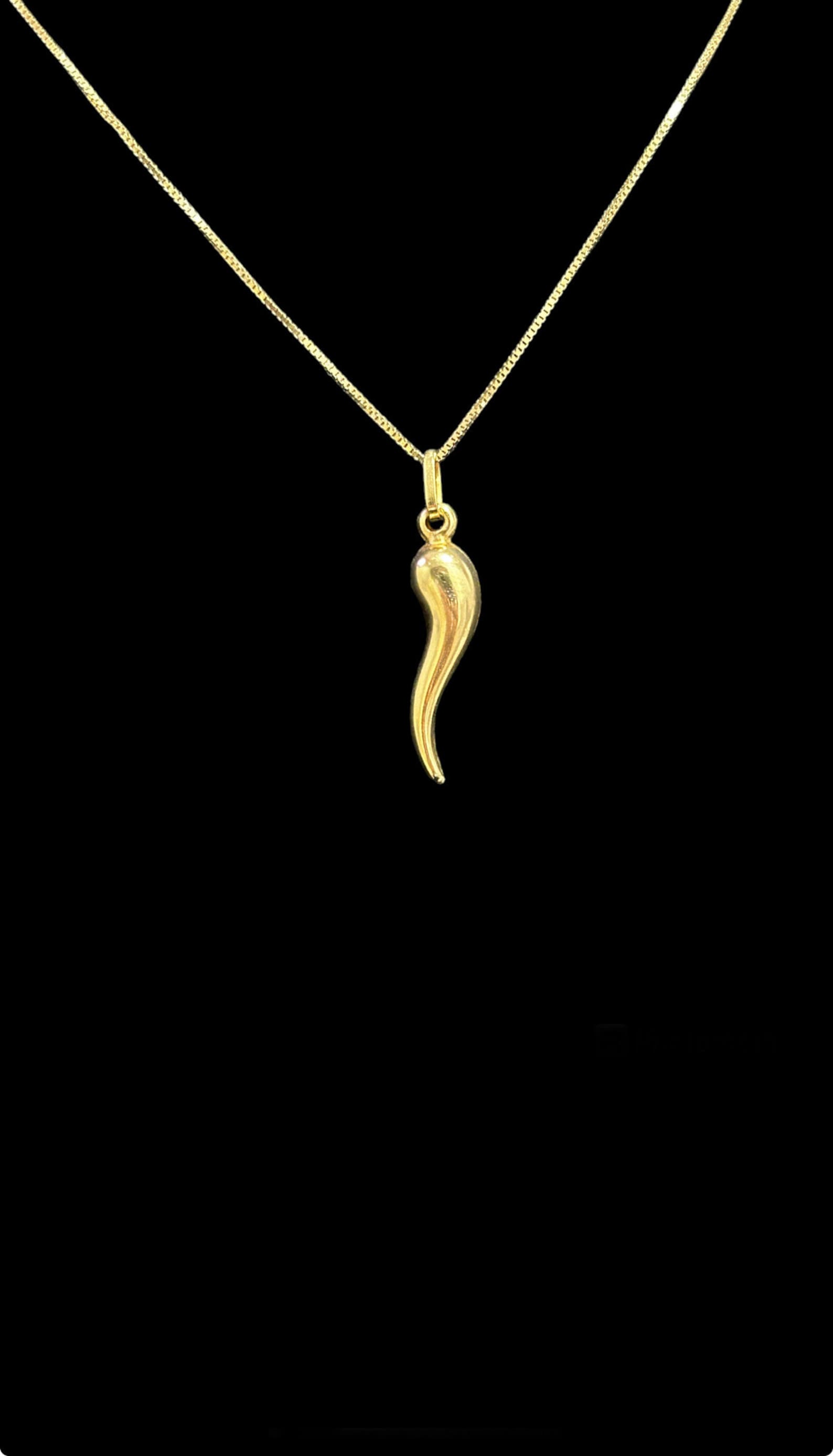 14K Real Gold Cornicello Italian Horn Necklace, Ladies Italian Horn ...