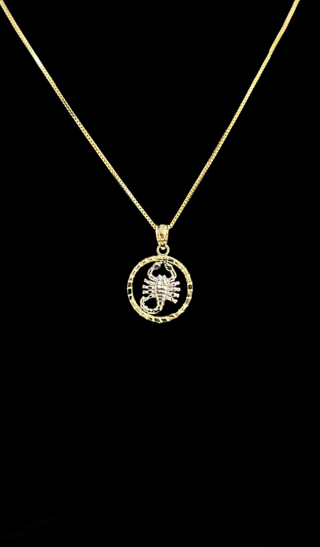 10k Real Gold Scorpion Disc Charm Medalion Pendant, Ladies Gold ...