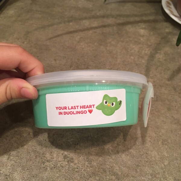 Duolingo Mask - Etsy