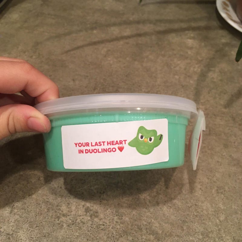 Duolingo Mask - Etsy