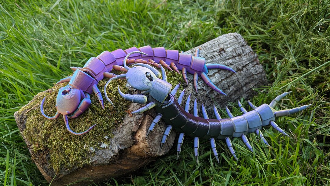 3D Printed Giant Centipede STL File Only print Your Own - Etsy