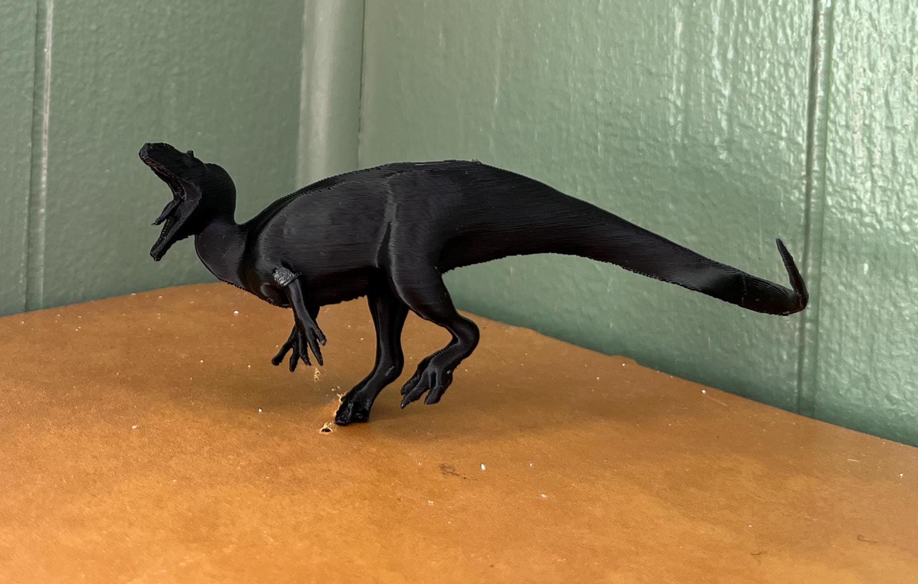Siats Model - Etsy