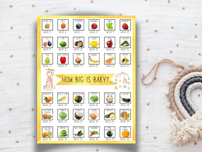 Bump to Baby Chart Fetal Growth Chart Baby Countdown Pregnancy ...