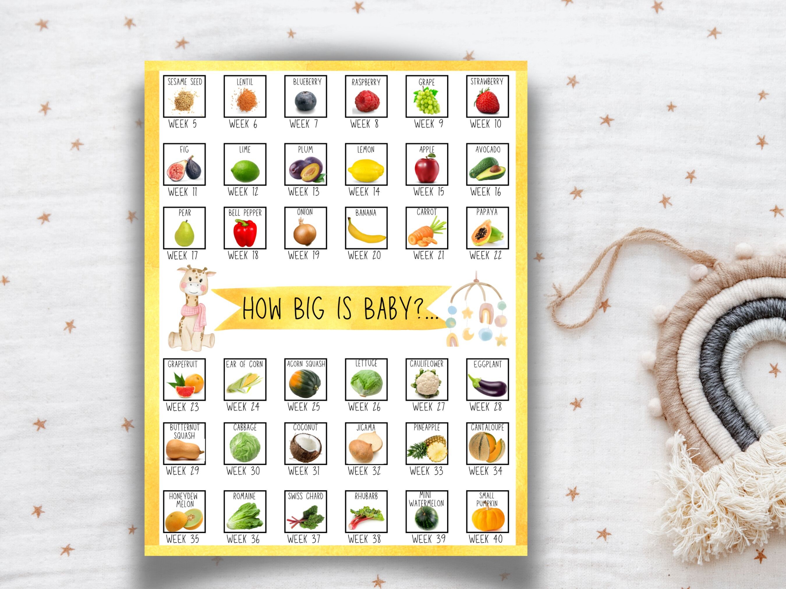 Bump to Baby Chart Fetal Growth Chart Baby Countdown Pregnancy ...