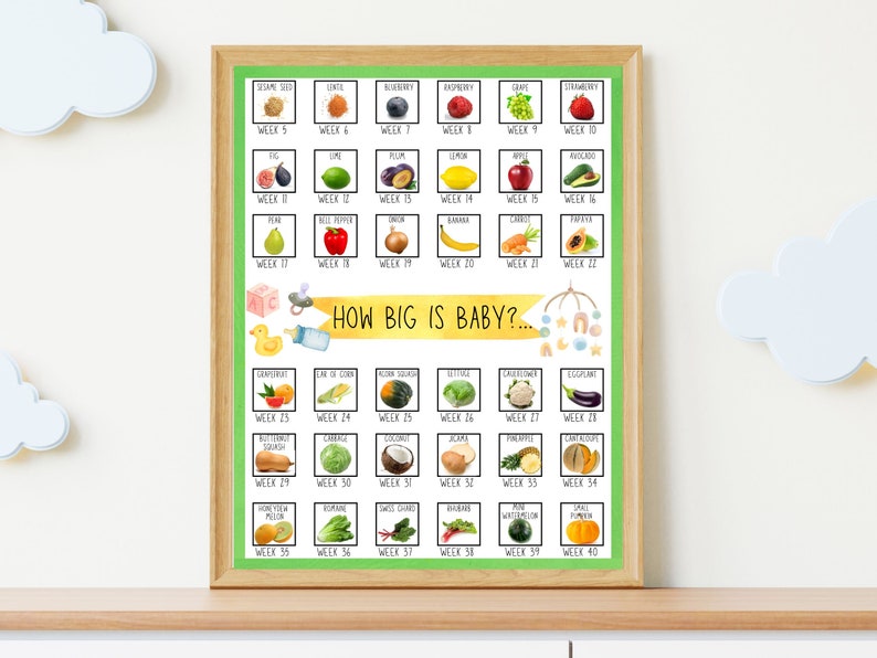 Bump to Baby Chart Fetal Growth Chart Baby Countdown Pregnancy ...