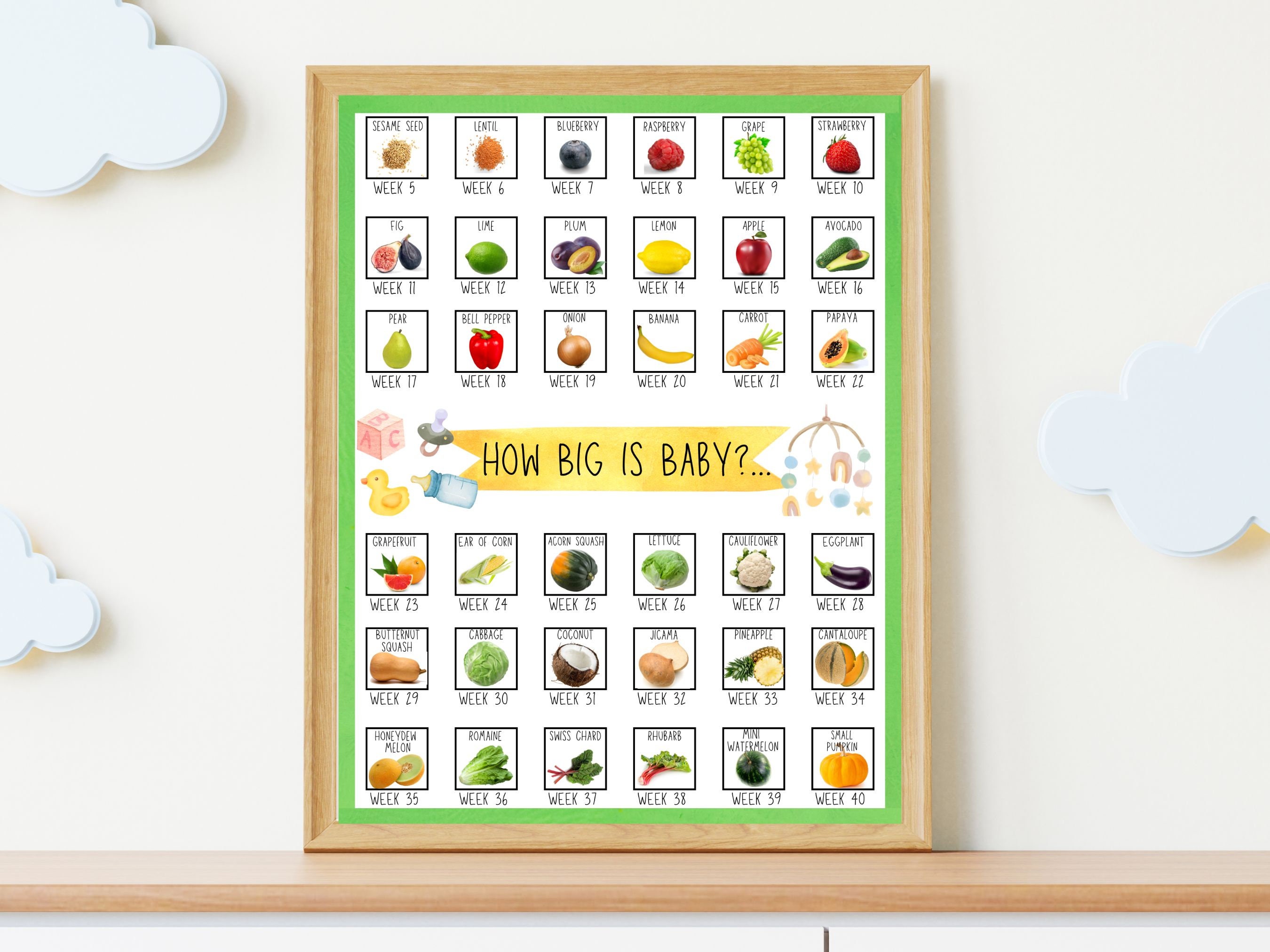 Bump to Baby Chart Fetal Growth Chart Baby Countdown Pregnancy ...