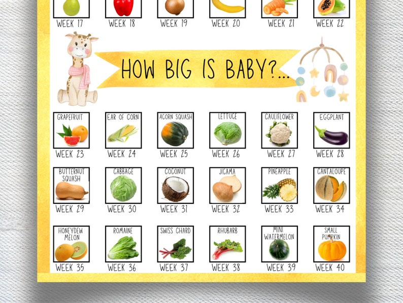 Bump to Baby Chart Fetal Growth Chart Baby Countdown Pregnancy ...