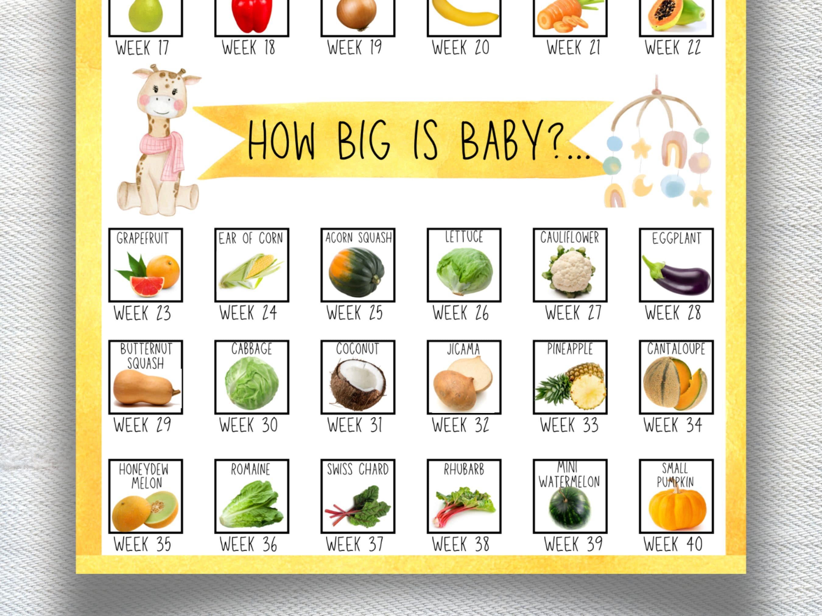 Bump to Baby Chart Fetal Growth Chart Baby Countdown Pregnancy ...