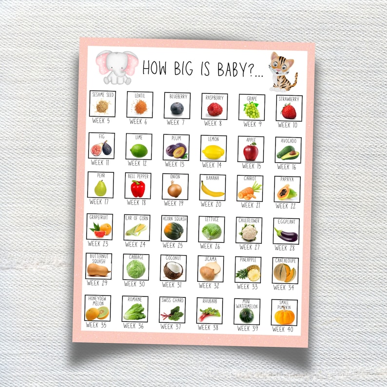 Bump to Baby Chart Fetal Growth Chart Baby Countdown Pregnancy ...