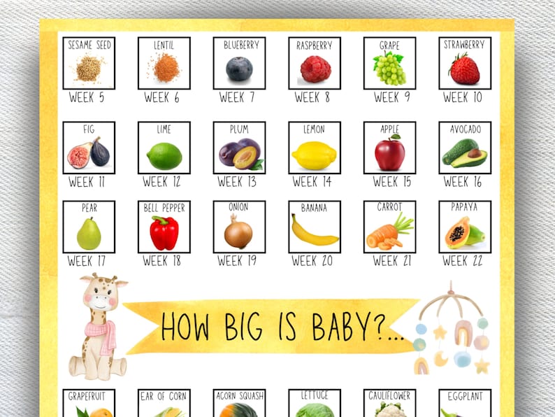 Bump to Baby Chart Fetal Growth Chart Baby Countdown Pregnancy ...