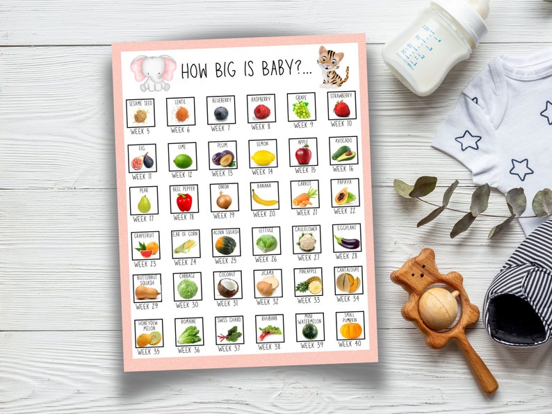 Bump to Baby Chart Fetal Growth Chart Baby Countdown Pregnancy ...