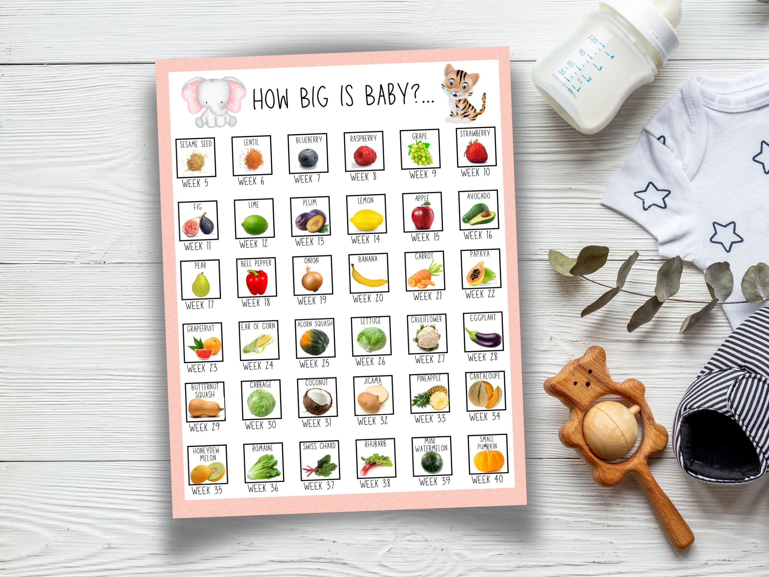Bump to Baby Chart Fetal Growth Chart Baby Countdown Pregnancy ...