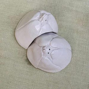 Ceramic Barnacle Salt & Pepper Shakers Nesting Set Handmade Nautical ...