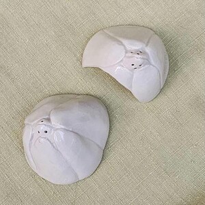 Ceramic Barnacle Salt & Pepper Shakers Nesting Set Handmade Nautical ...
