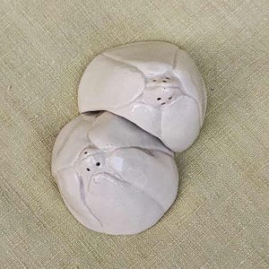 Ceramic Barnacle Salt & Pepper Shakers Nesting Set Handmade Nautical ...