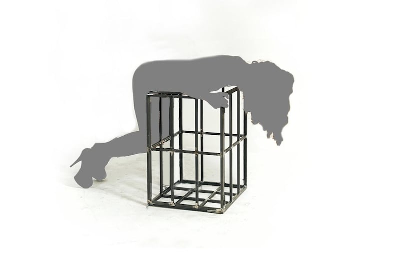 Raw Steel Bondage Cage: Dungeon Furniture, Kinky Games - Etsy