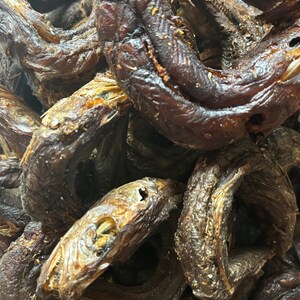 4 Pcs Round Kpanla Fish Eja Kika - Etsy