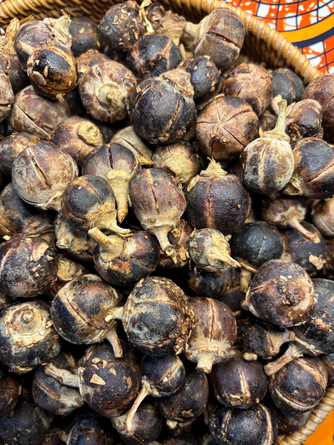 Gorontula 250g – Natural Aphrodisiac Fruit (azanza Garckeana)|snot ...