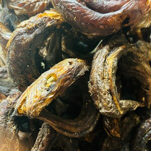 4 Pcs Round Kpanla Fish Eja Kika - Etsy