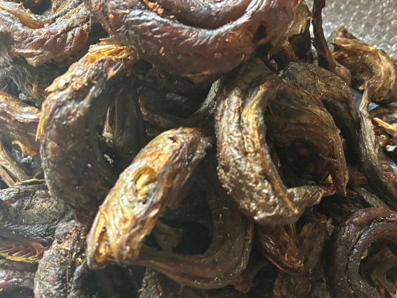 4 Pcs Round Kpanla Fish Eja Kika - Etsy