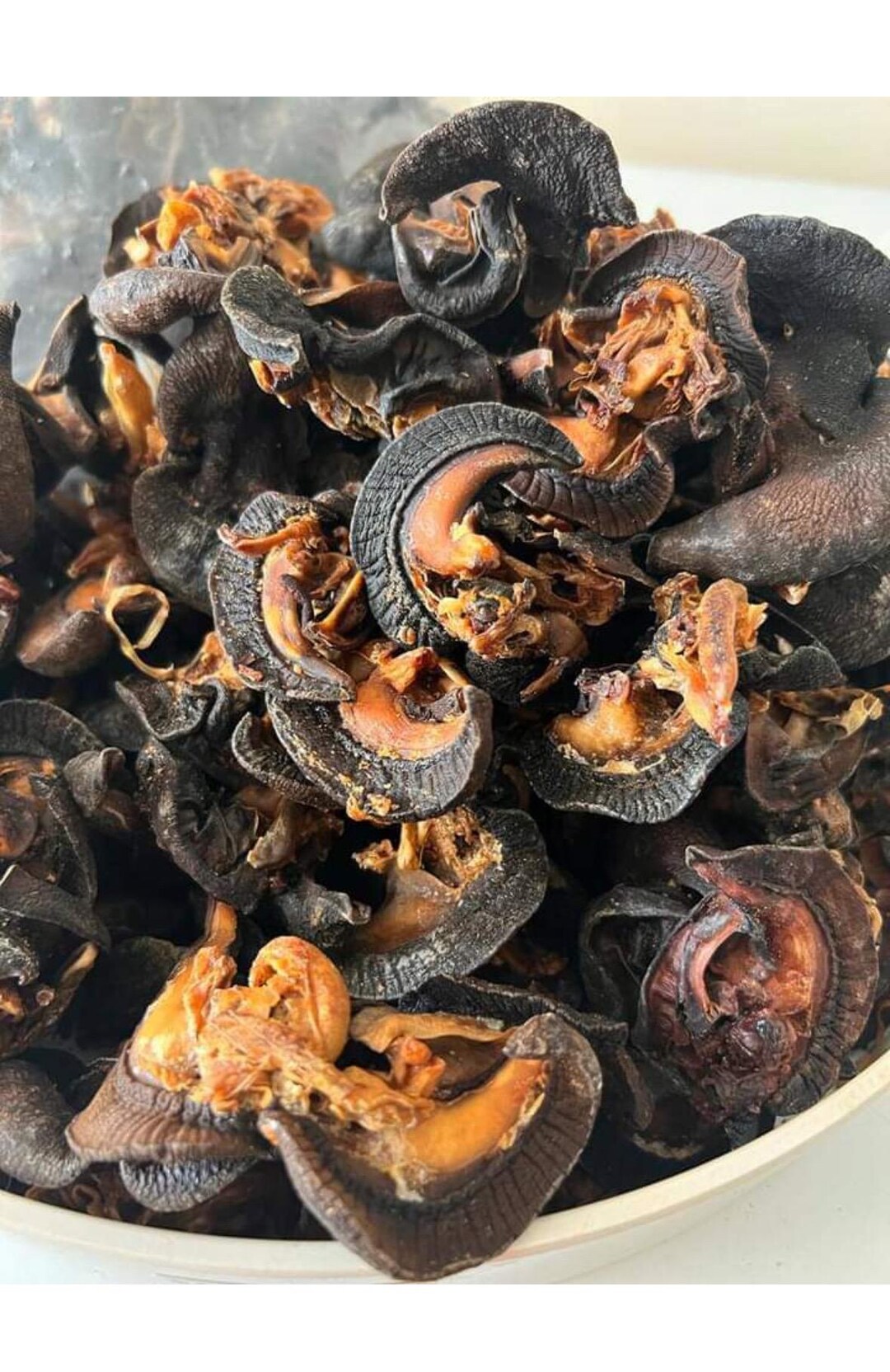 Fresh Large Oven Dried Snails - Etsy