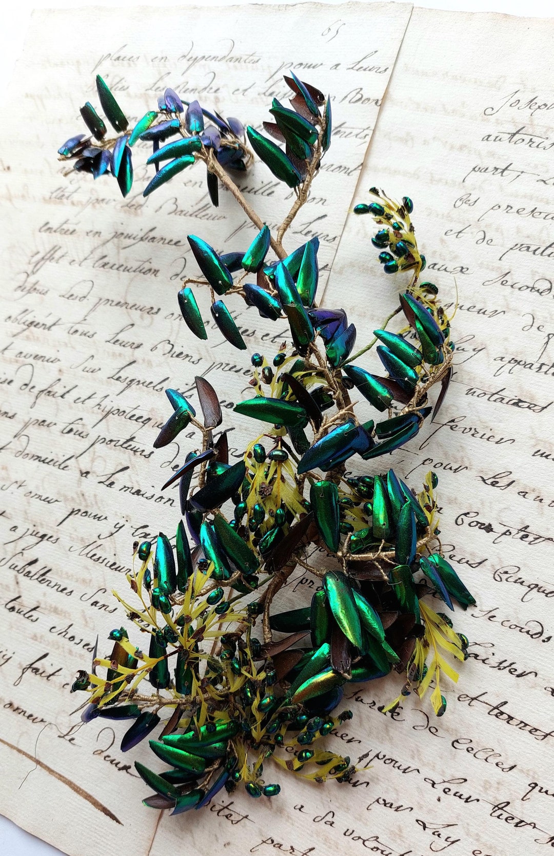 Rare Victorian Edwardian Beetle Wing & Feather Hat Ornament for Antique ...