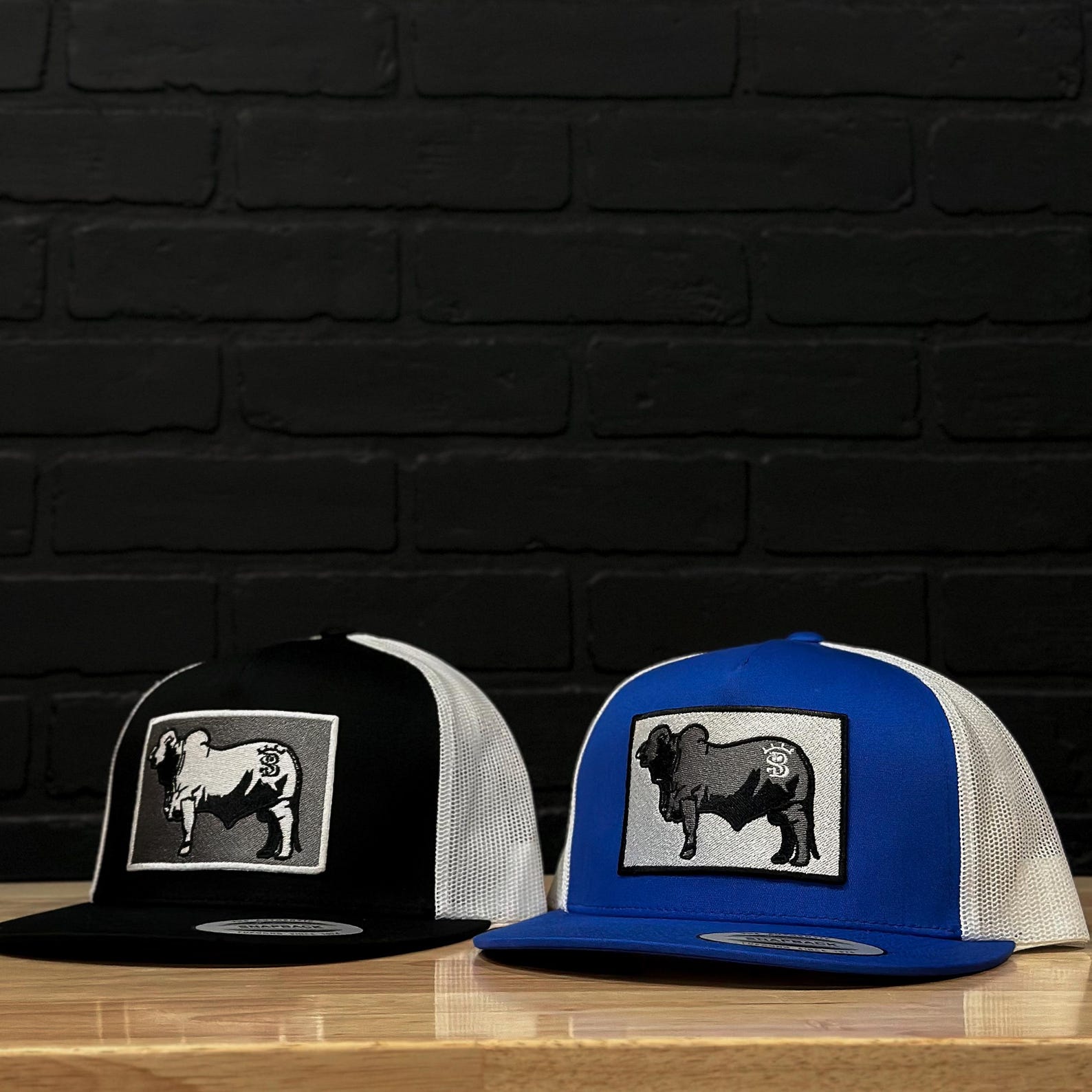 Brahman Bull Patch Embroidery File - Etsy