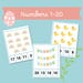 Easter Count and Clip Cards, First Counting Kindergarten or ...