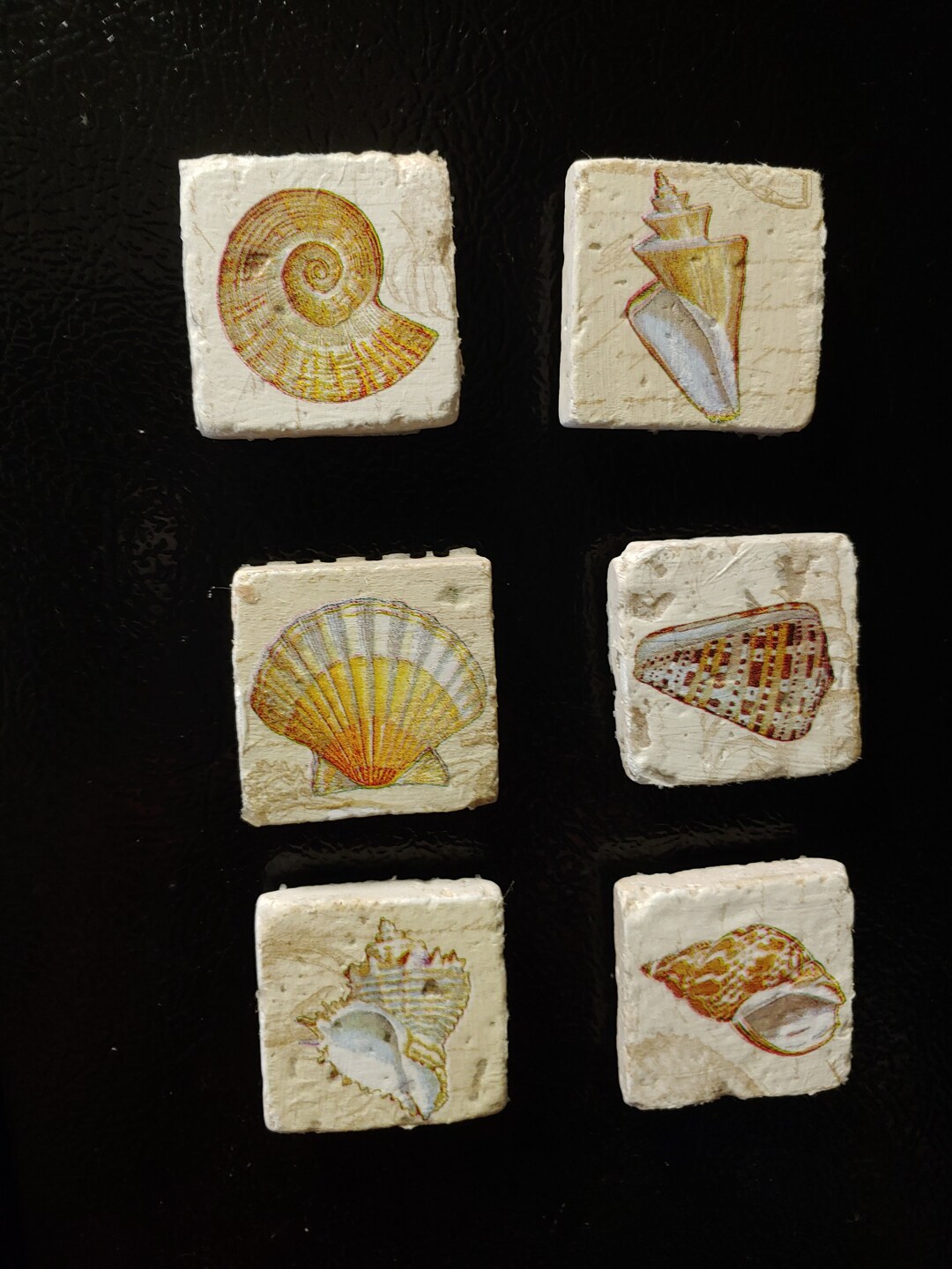 Refrigerator Magnets Shells - Etsy