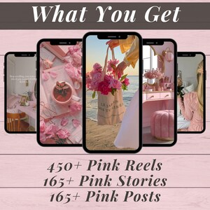 Pink Faceless Reels Aesthetic Instagram Stories Posts Master Resell ...