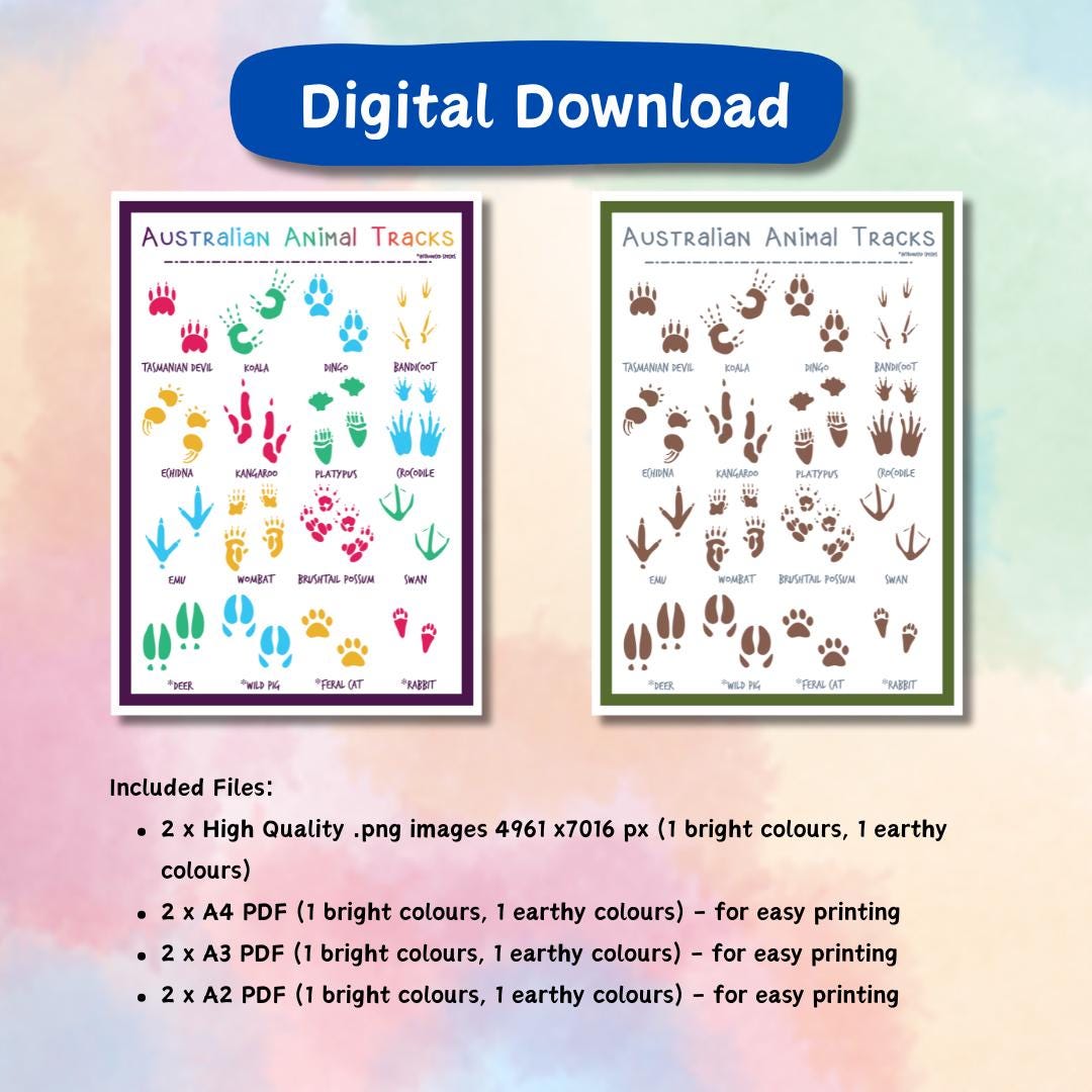 Australian Animal Tracks Poster - Etsy