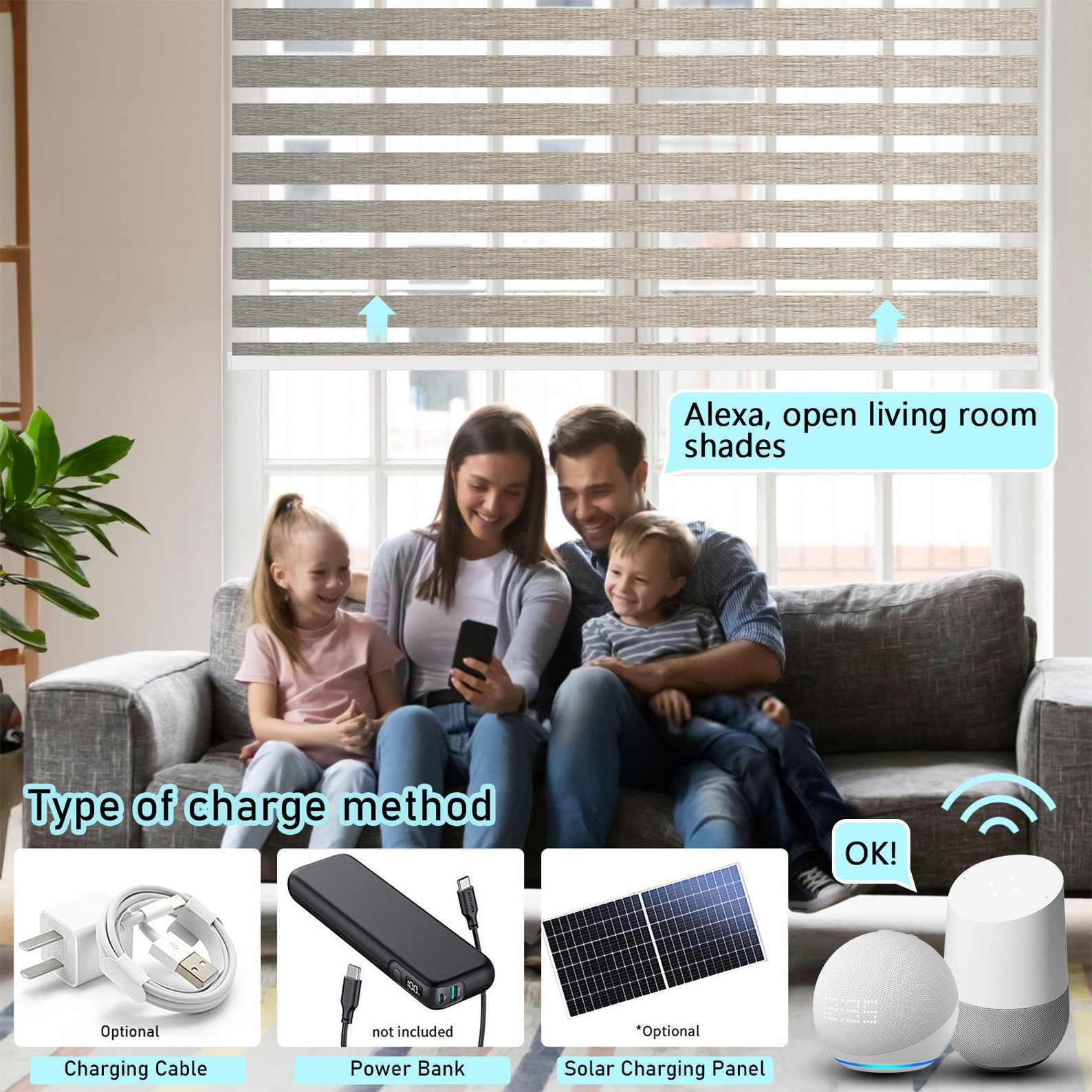 Remote Controlled Blackout Zebra Blinds: USB-C Rechargeable, Alexa ...
