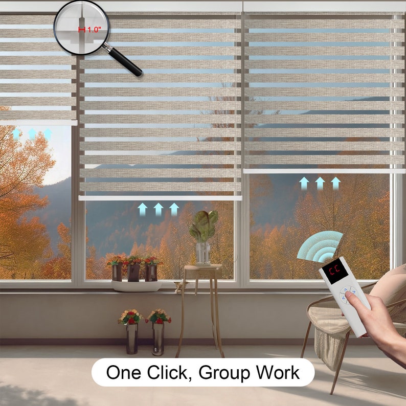 Remote Controlled Blackout Zebra Blinds: USB-C Rechargeable, Alexa ...