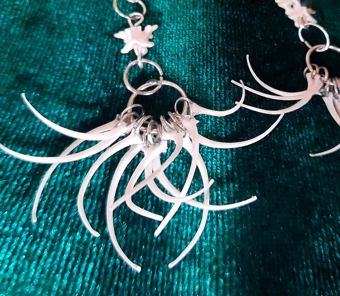 Real Snake Vertebrae Rib Bone Earrings - Etsy