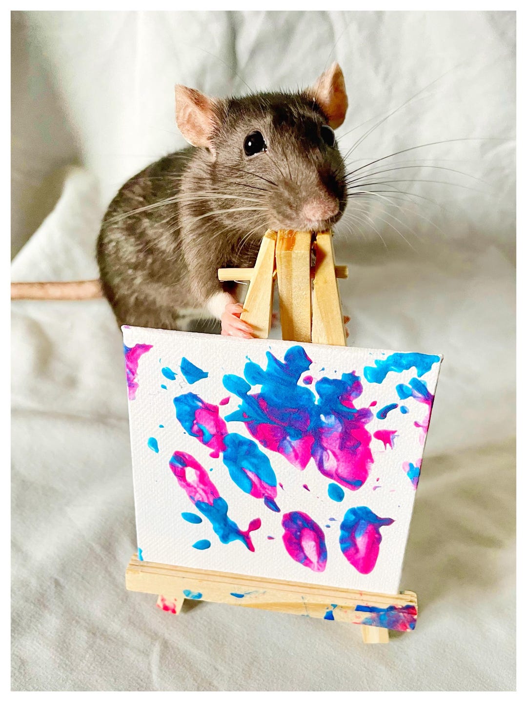 Rat Paw-print Paintings 3x3inches - Etsy