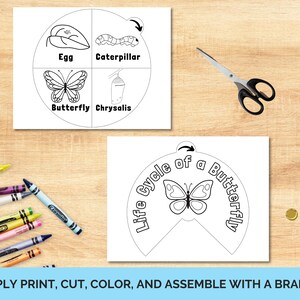 Life Cycle of a Butterfly Spinner Wheel, Spinner Wheel Coloring Craft ...