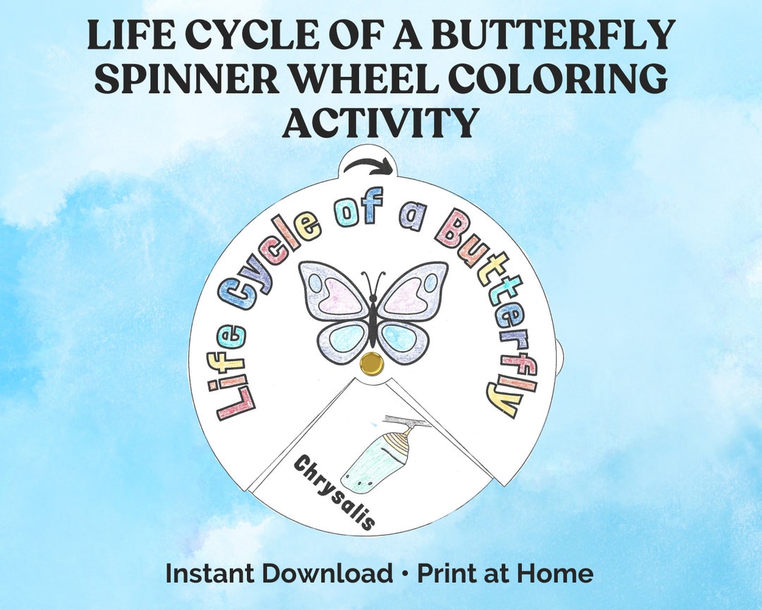 Life Cycle of a Butterfly Spinner Wheel, Spinner Wheel Coloring Craft ...