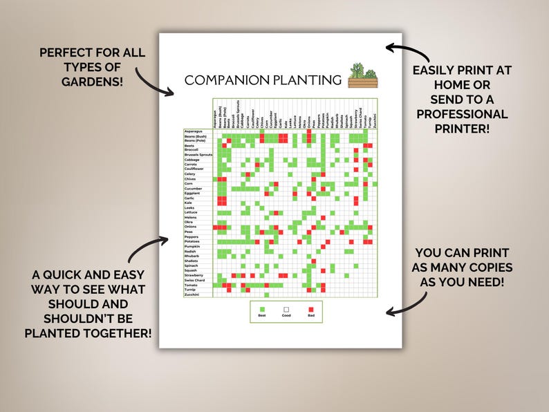 Companion Planting Chart, Companion Planting Guide, Companion Gardening ...