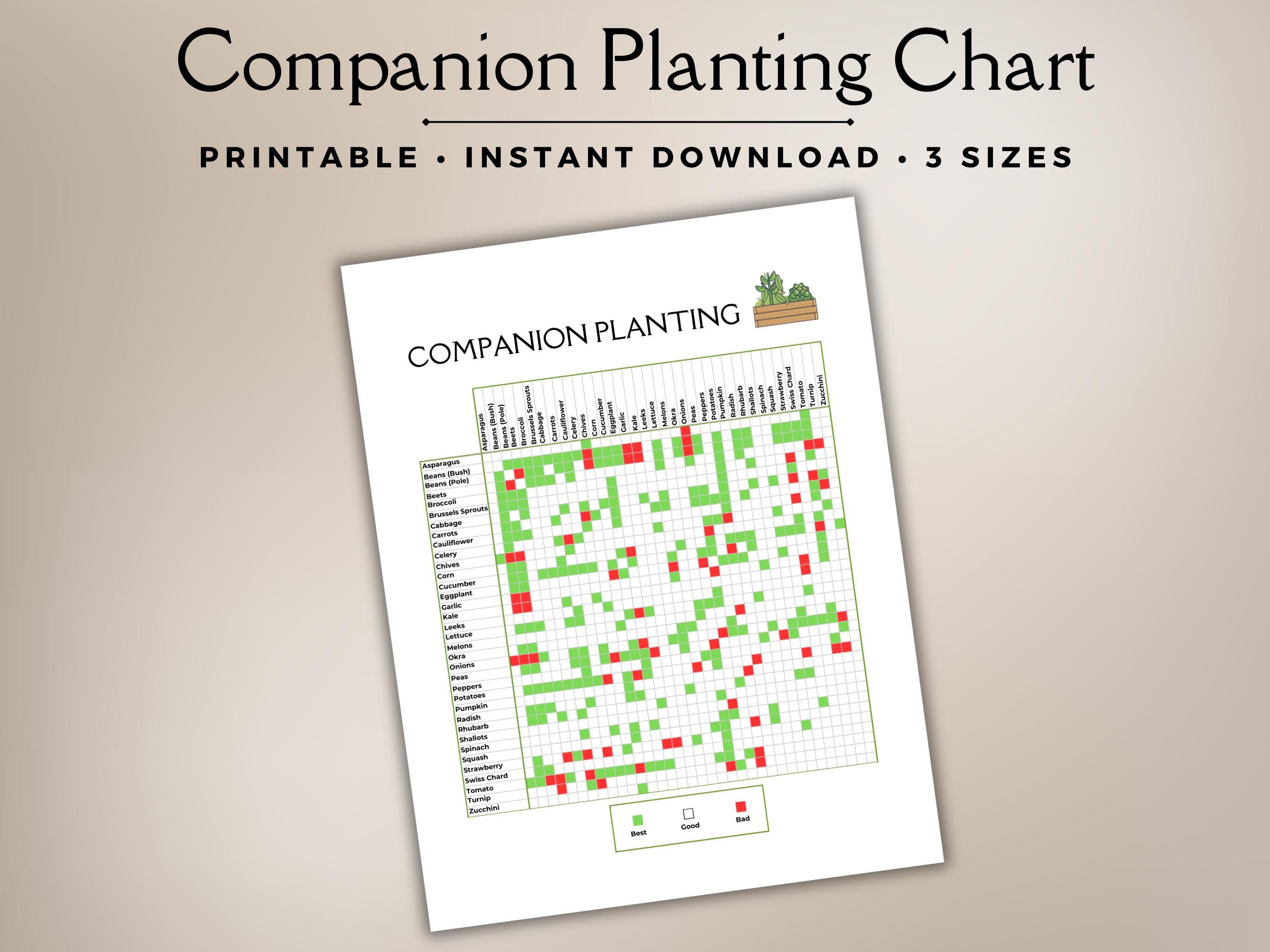 Companion Planting Chart, Companion Planting Guide, Companion Gardening ...