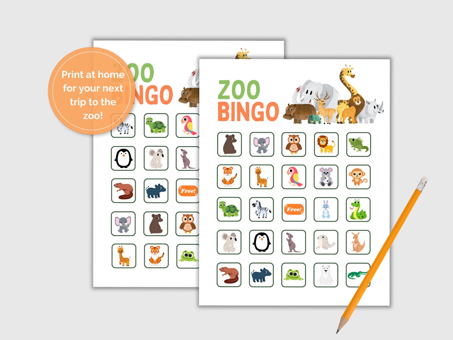 Zoo Bingo Cards, Printable Zoo Bingo Cards, Zoo Bingo, Animal Bingo ...